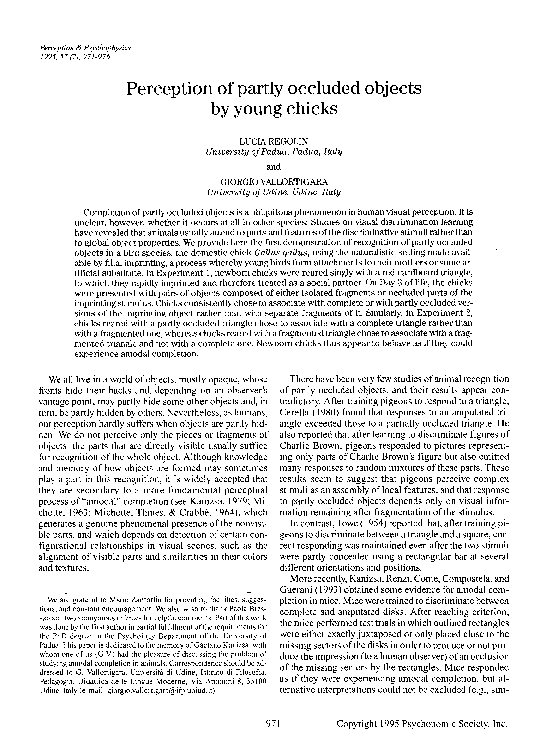 Pdf Perception Of Partly Occluded Objects By Young Chicks