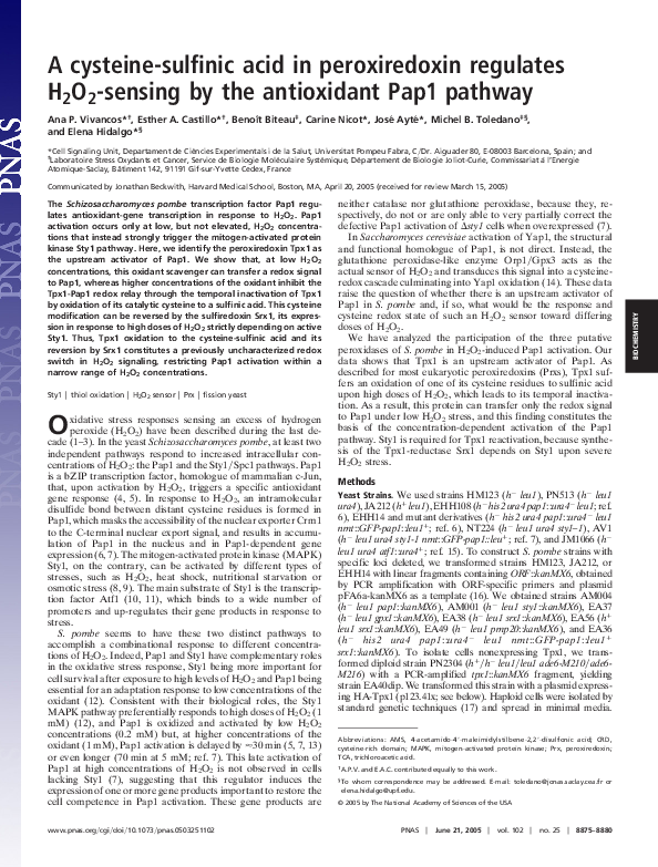 (PDF) A cysteine-sulfinic acid in peroxiredoxin regulates H2O2-sensing ...