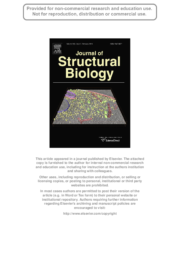 (PDF) Simultaneous alignment of dual-axis tilt series