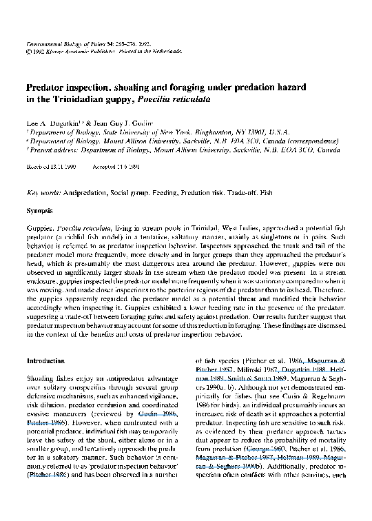 (PDF) Predator inspection, shoaling and foraging under predation hazard ...