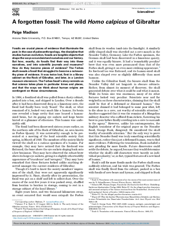 (PDF) A forgotten fossil: The wild Homo calpicus of Gibraltar | Paige ...