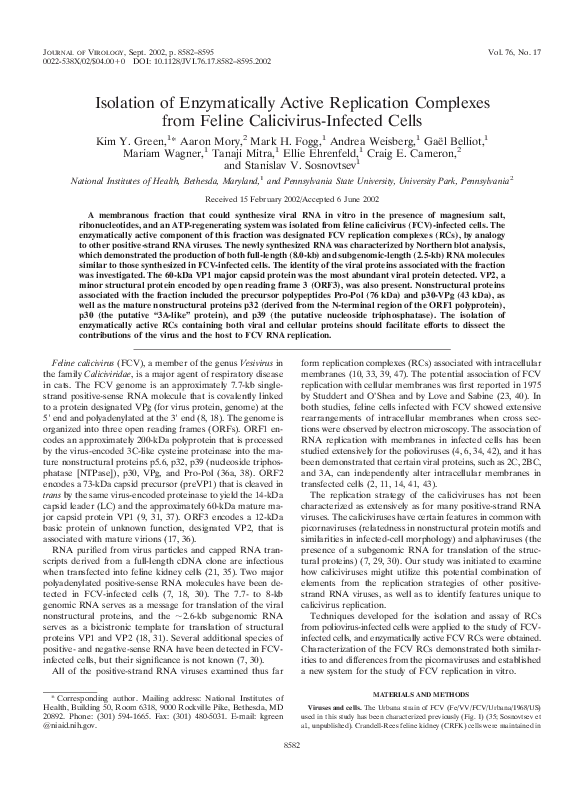 (PDF) Isolation of Enzymatically Active Replication Complexes from ...
