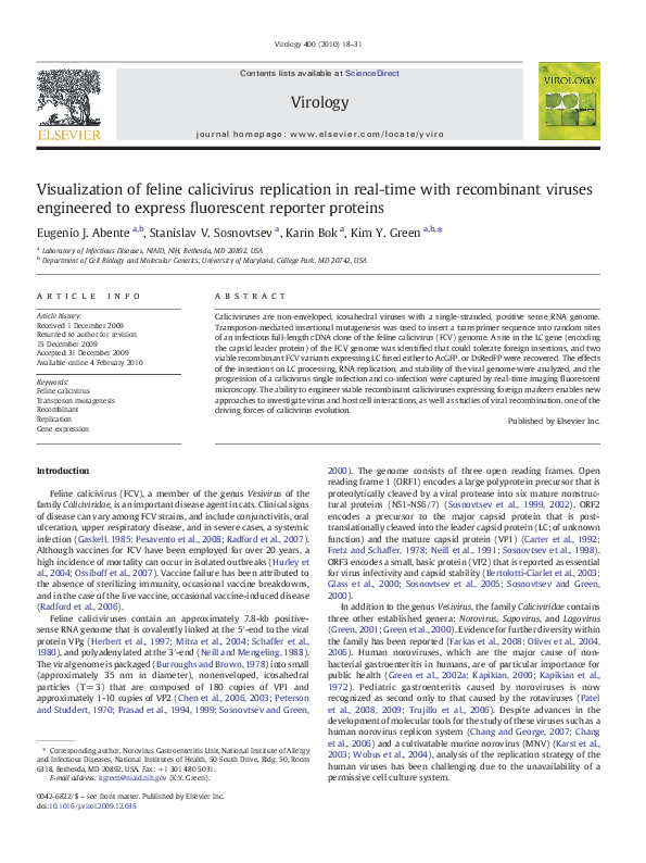 (PDF) Visualization of feline calicivirus replication in real-time with ...