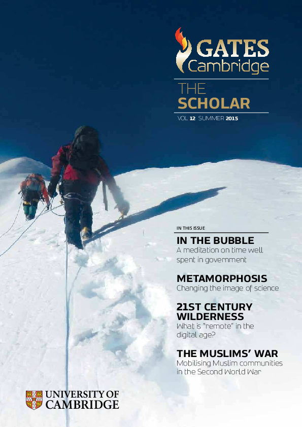 (PDF) Looking Beyond the Numbers: Using Women's Lived Experiences to ...