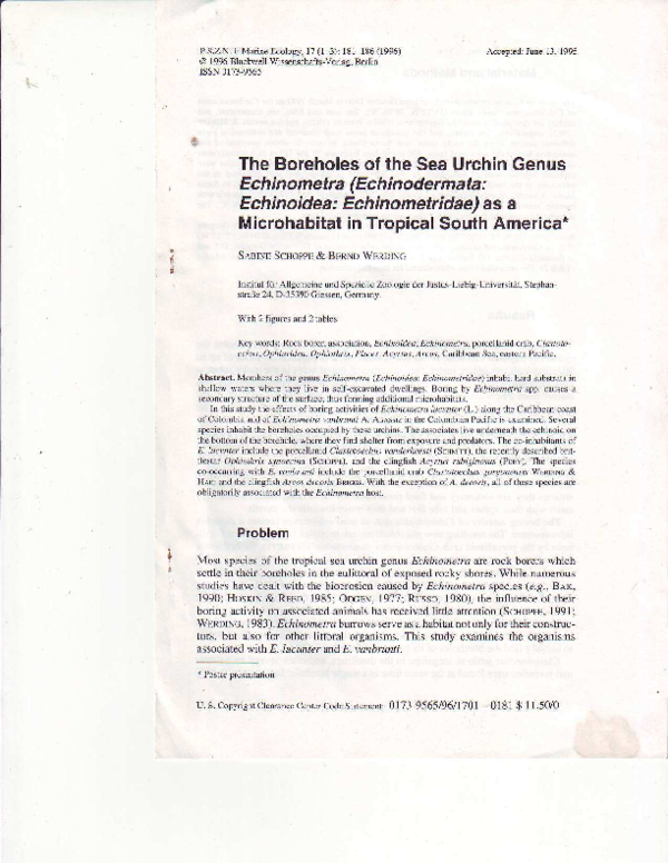(PDF) The Boreholes of the Sea Urchin Genus Echinometra (Echinodermata ...