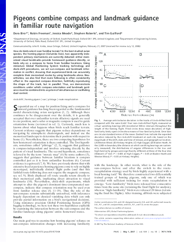 (PDF) Pigeons combine compass and landmark guidance in familiar route ...