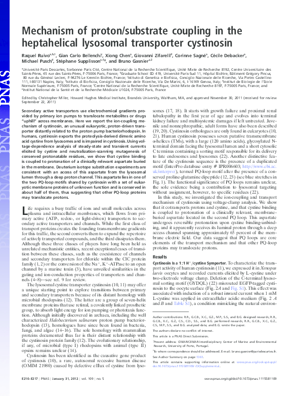 (PDF) Mechanism of proton/substrate coupling in the heptahelical ...
