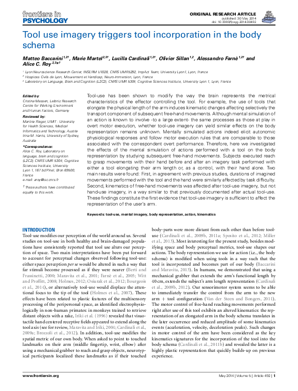 (PDF) Tool use imagery triggers tool incorporation in the body schema