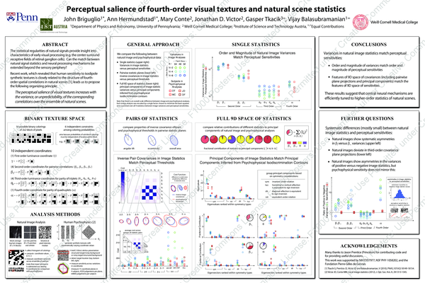 (PDF) Perceptual salience of fourth-order visual textures and natural ...