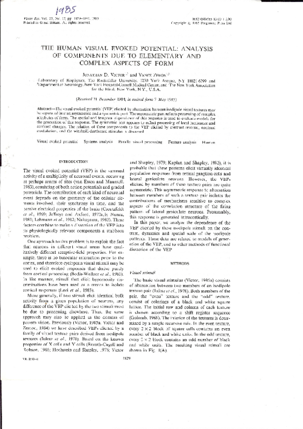 (PDF) The human visual evoked potential: Analysis of components due to ...