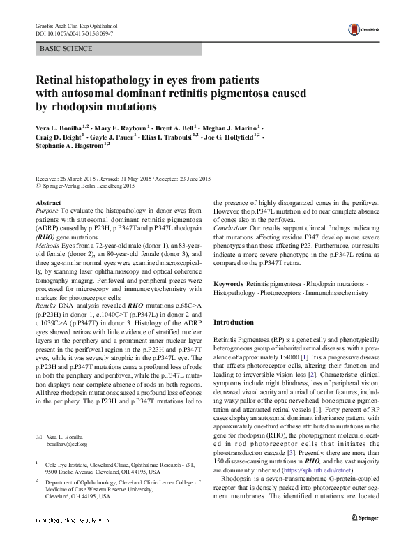 (PDF) Retinal histopathology in eyes from patients with autosomal ...