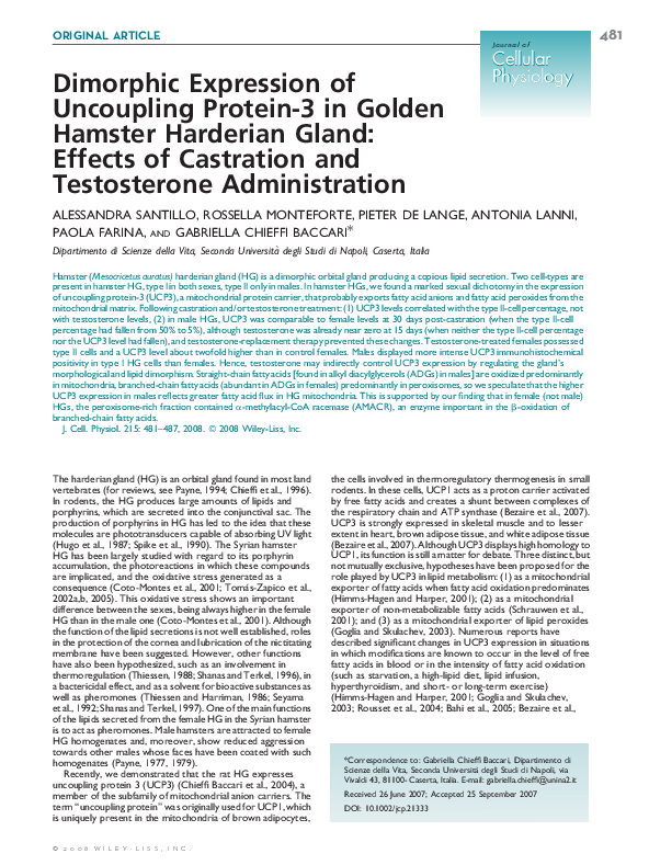 (PDF) Dimorphic expression of uncoupling protein-3 in golden hamster ...