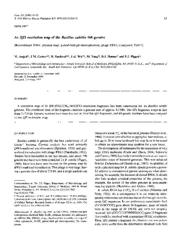 (PDF) An SfiI restriction map of the Bacillus subtilis 168 genome