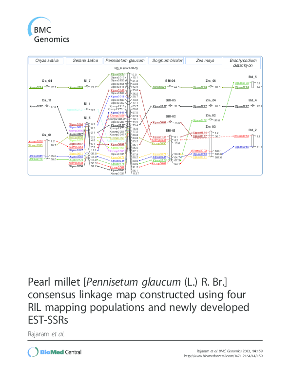 (PDF) Pearl millet [Pennisetum glaucum (L.) R. Br.] consensus linkage map constructed using four ...