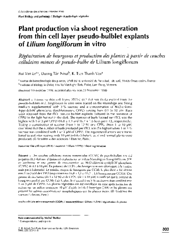 (PDF) Plant production via shoot regeneration from thin cell layer ...
