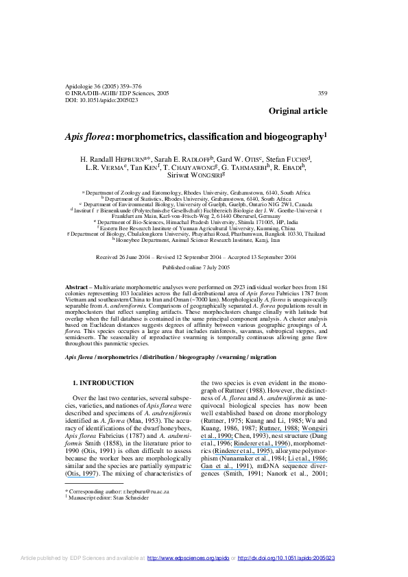 (PDF) Apis florea : morphometrics, classification and biogeography