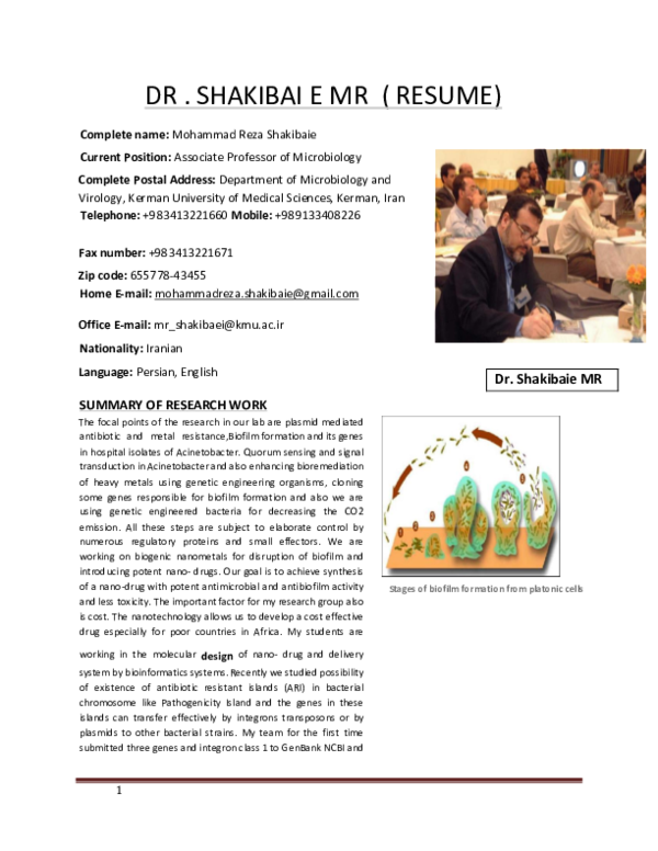(DOC) My cv1 (1) | mohammad reza shakibaie - Academia.edu