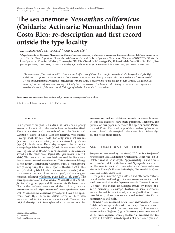 (PDF) First record of the sea anemone Bunodosoma californicum (Cnidaria ...