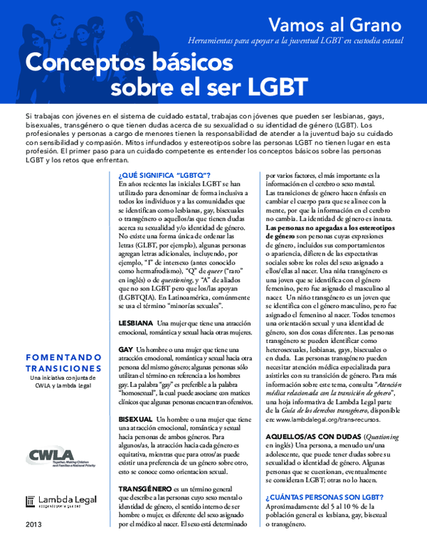 (PDF) Conceptos básicos LGBT