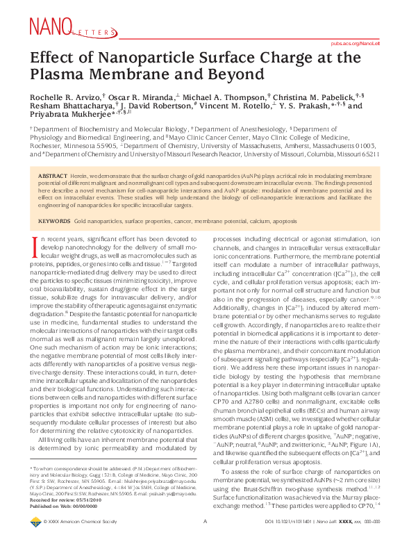 (PDF) Effect of Nanoparticle Surface Charge at the Plasma Membrane and ...