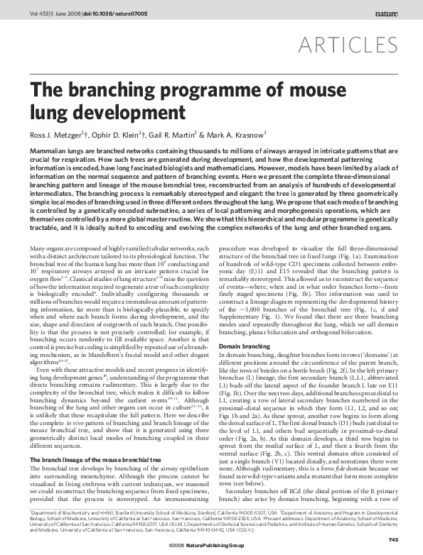 (PDF) The branching programme of mouse lung development