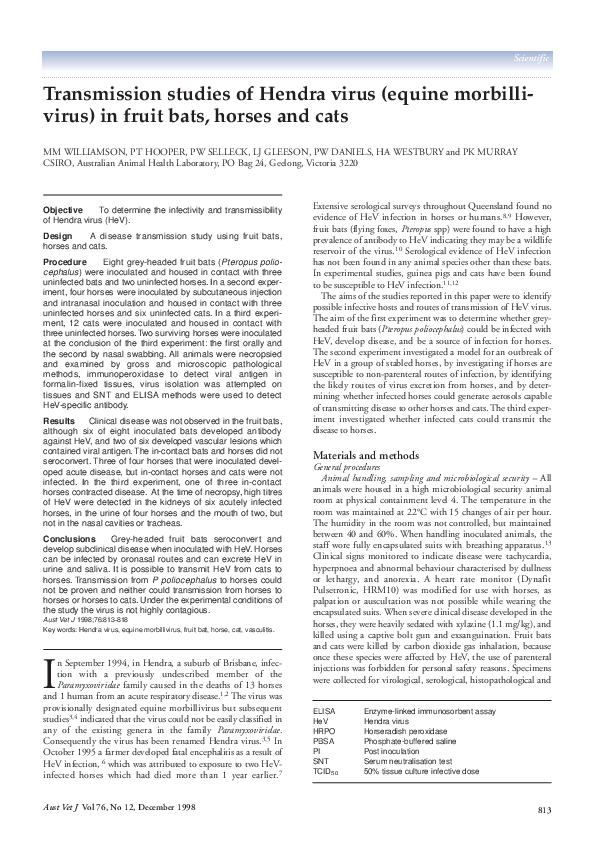 (PDF) Transmission studies of Hendra virus (equine morbilli-virus) in ...