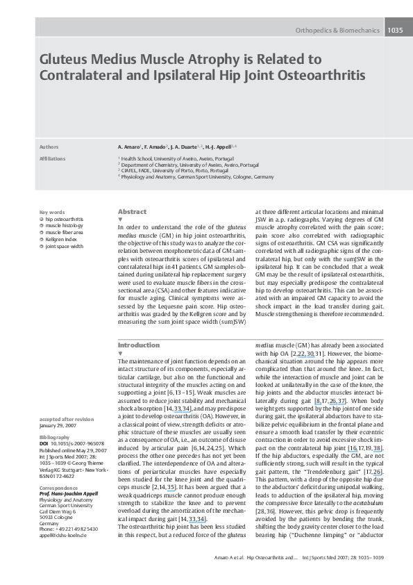 (PDF) Gluteus medius muscle atrophy is related to contralateral and ...