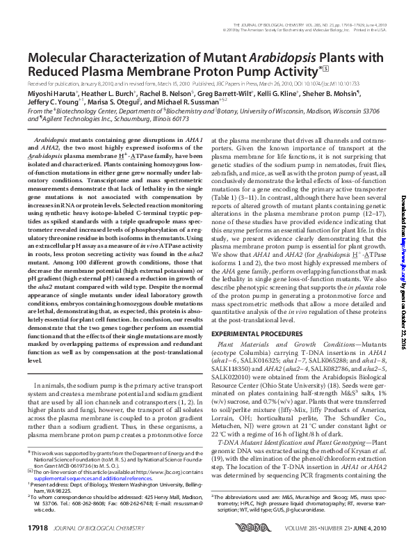 (PDF) Molecular Characterization of Mutant Arabidopsis Plants with ...