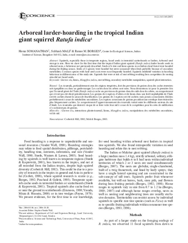 (PDF) Arboreal larder-hoarding in the tropical Indian giant squirrel ...