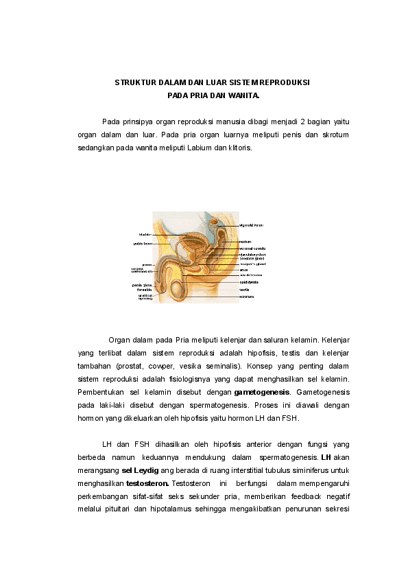 (DOC) STRUKTUR DALAM DAN LUAR SISTEM REPRODUKSI