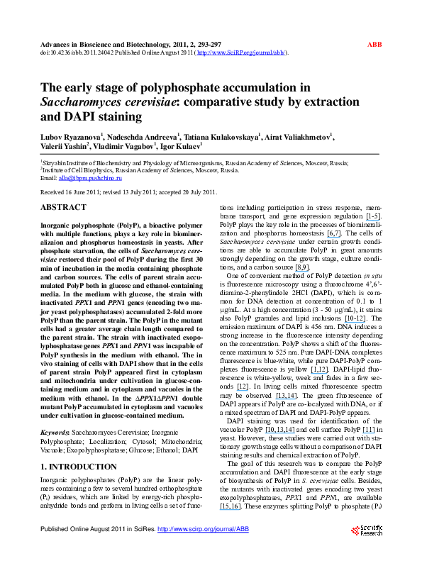 (PDF) The early stage of polyphosphate accumulation in saccharomyces cerevisiae : comparative ...