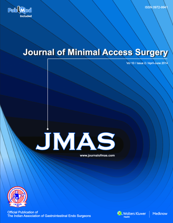 (PDF) Preliminary experience with laparoscopic Foley′s YV plasty for ...