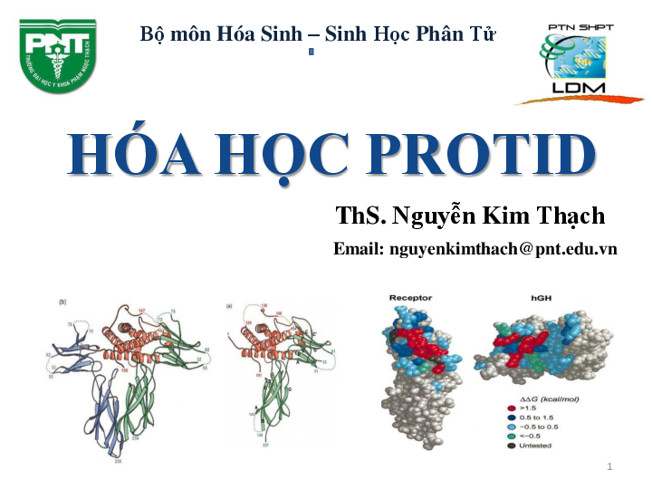 (PDF) HÓA HỌC PROTID