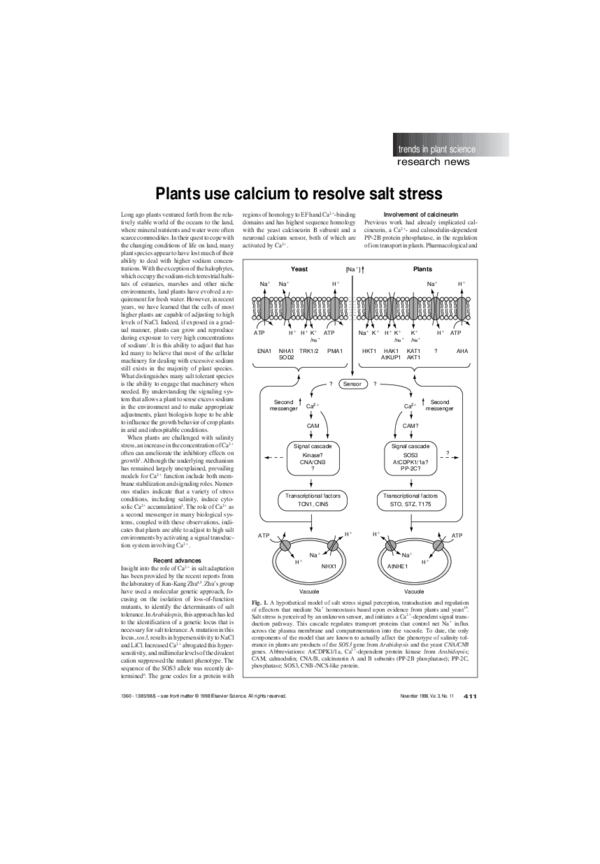 (PDF) Plants use calcium to resolve salt stress