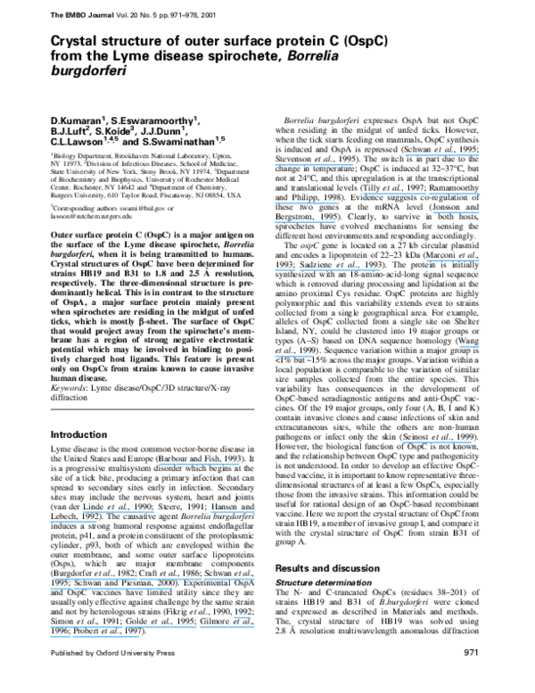 (PDF) Crystal structure of outer surface protein C (OspC) from the Lyme ...
