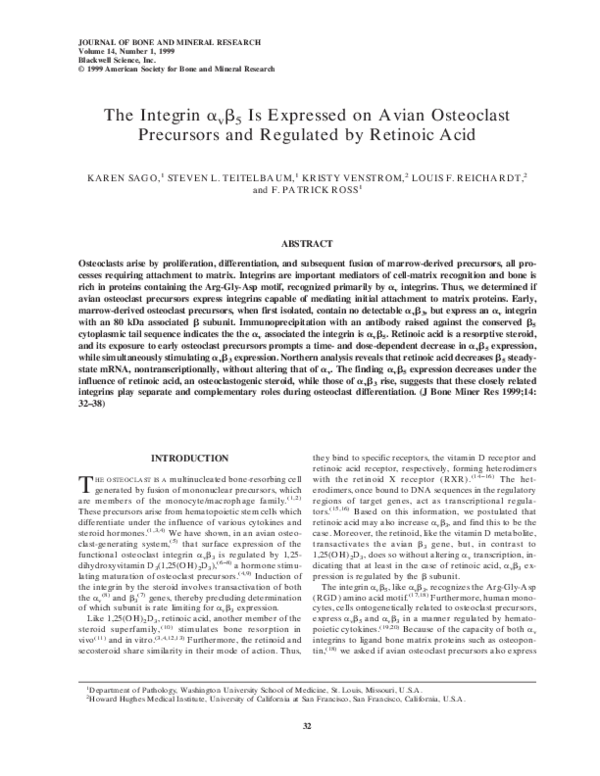 (PDF) The Integrin avb5 Is Expressed on Avian Osteoclast Precursors and ...