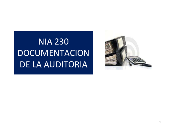 (PDF) NIA 230 DOCUMENTACION DE LA AUDITORIA