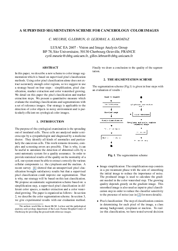 (PDF) A supervised segmentation scheme for cancerology color images