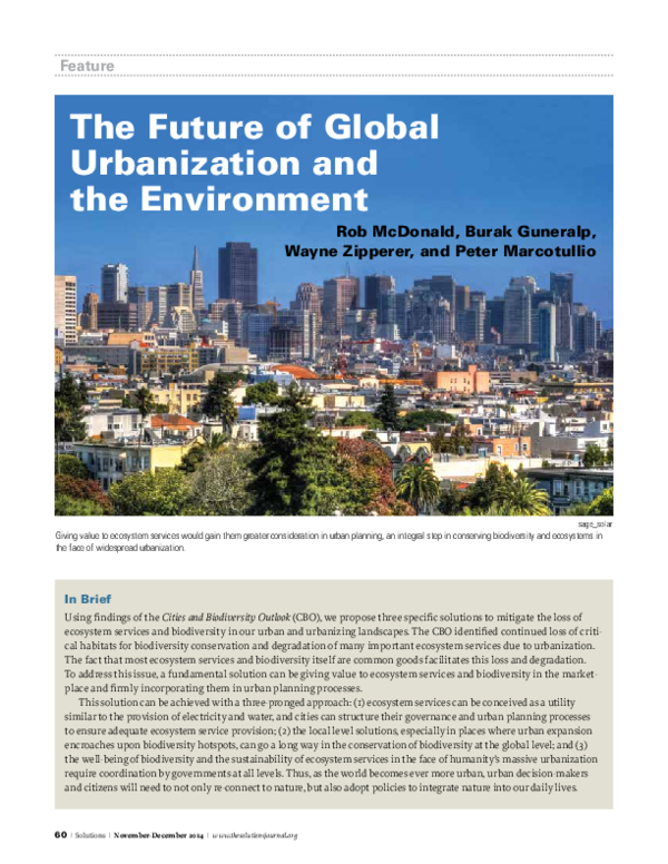 (PDF) The Future of Global Urbanization and the Environment