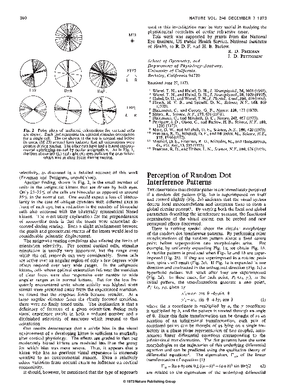 (PDF) Perception of Random Dot Interference Patterns