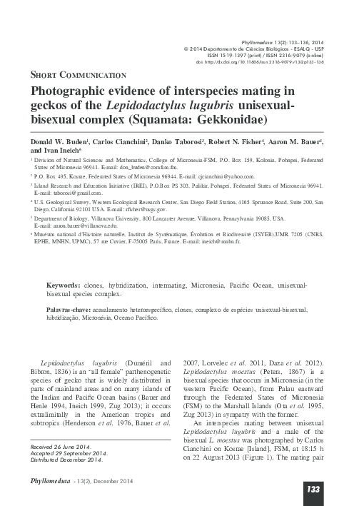 (PDF) Photographic evidence of interspecies mating in geckos of the ...