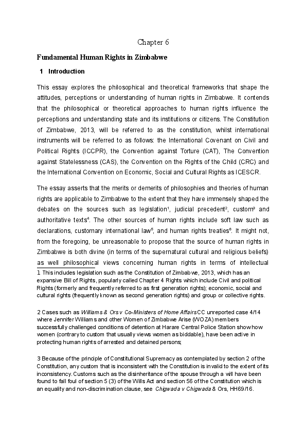 (DOC) Human rights in Zimbabwe, Arguments and analysis.docx