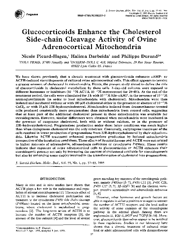 (PDF) Glucocorticoids enhance the cholesterol side-chain cleavage ...