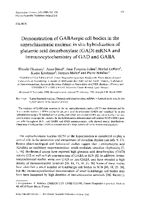 (PDF) Demonstration of GABAergic cell bodies in the suprachiasmatic ...