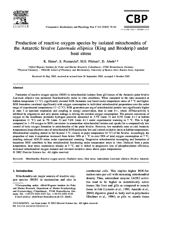 (PDF) Production of reactive oxygen species by isolated mitochondria of ...