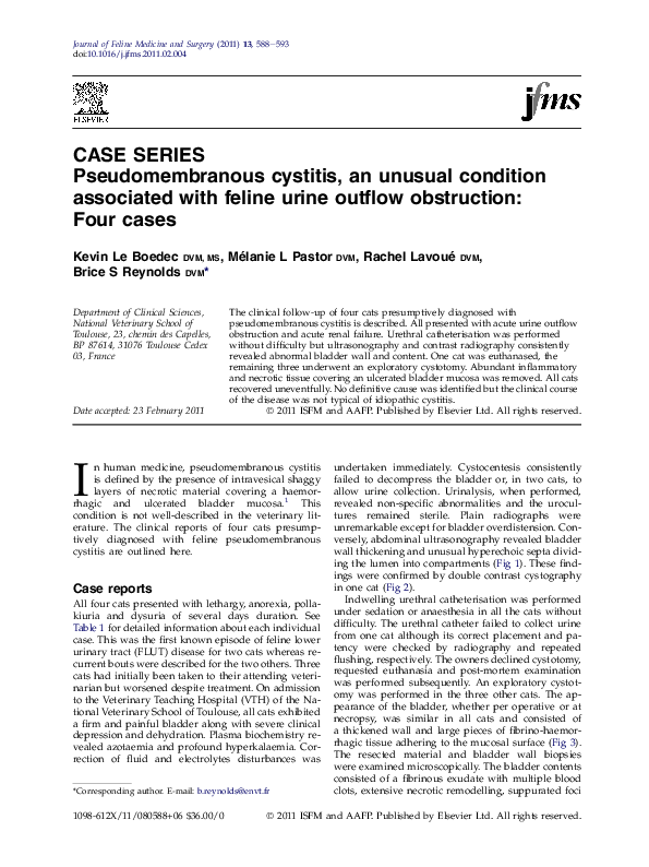 (PDF) Pseudomembranous cystitis, an unusual condition associated with ...
