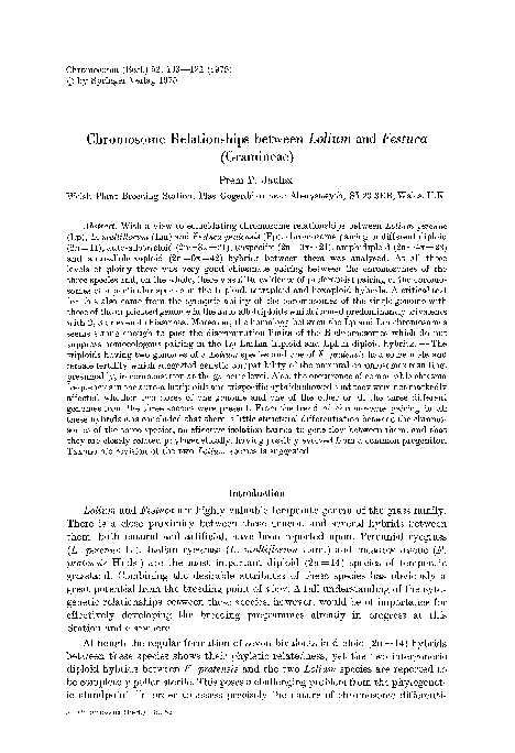 (PDF) Chromosome relationships between Lolium and Festuca (Gramineae ...