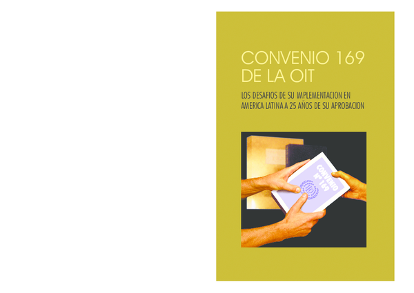 (PDF) Consulta Previa - una mirada a 25 años del Convenio 169