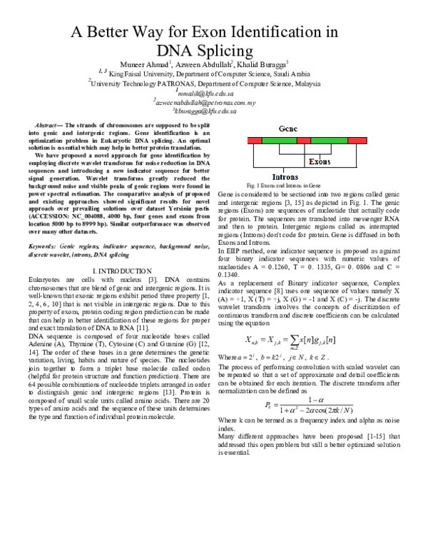(PDF) A better way for exon identification in DNA splicing
