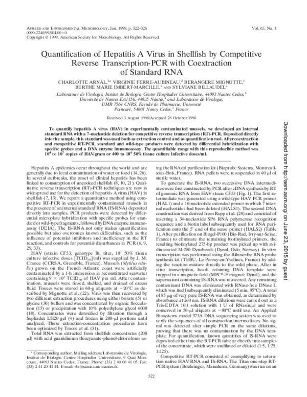 (PDF) Quantification of hepatitis A virus in shellfish by competitive ...